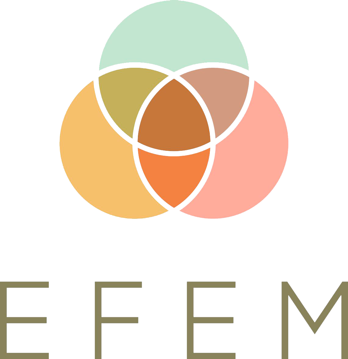 Mis cursos - Método EFEM